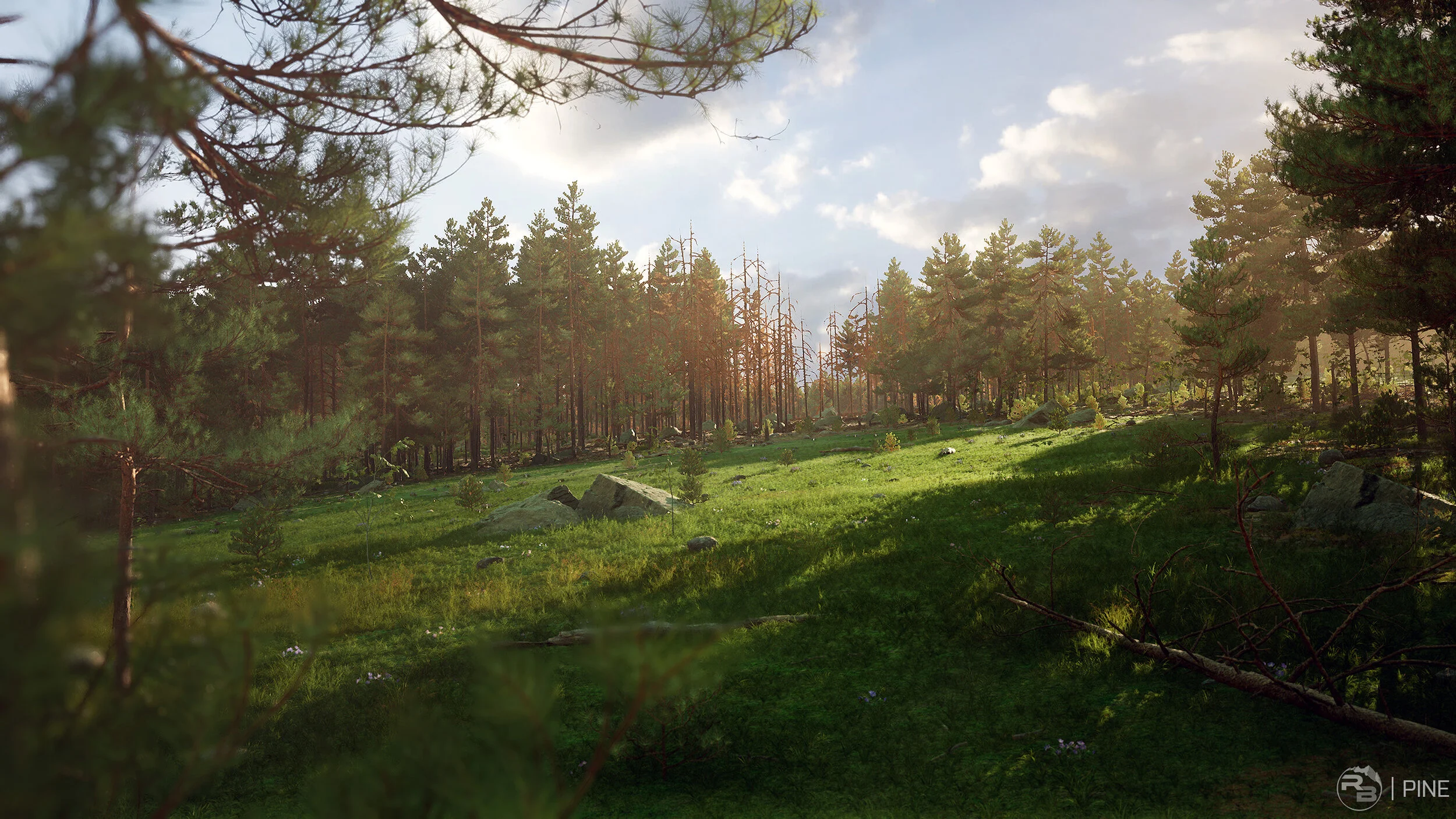 RealBiomes | Creating Next-Gen worlds for Unreal Engine 5