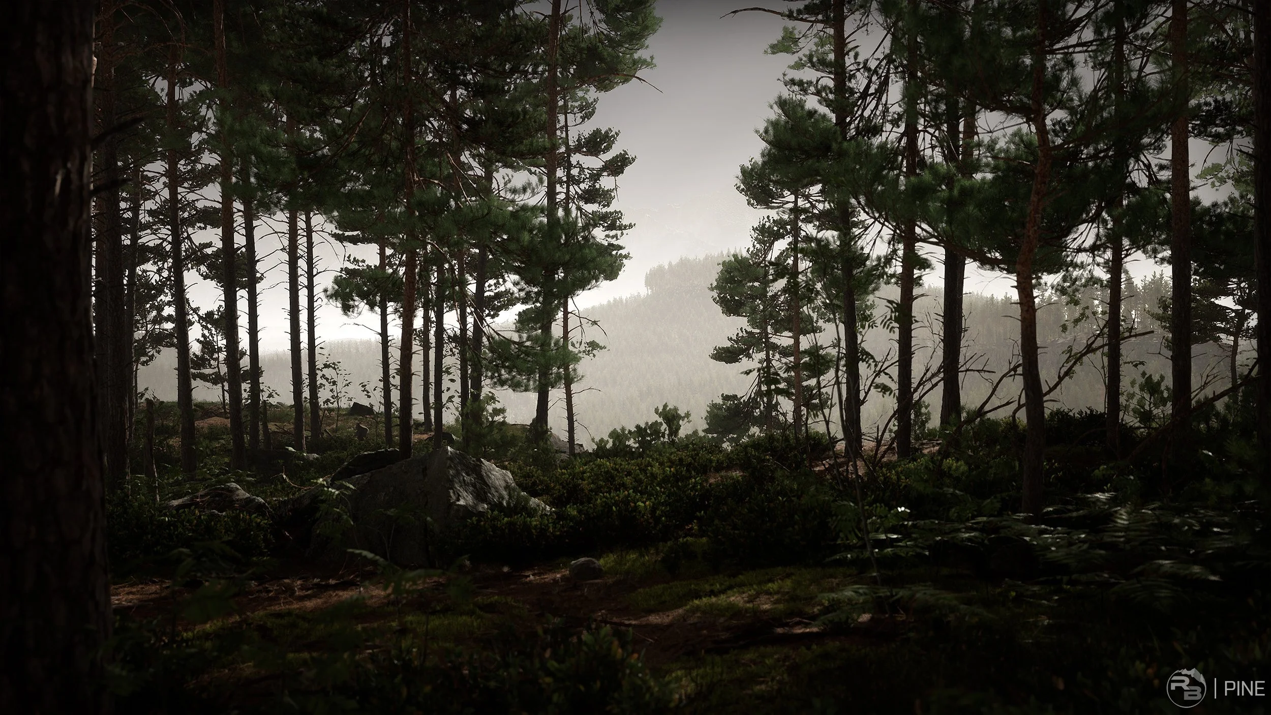 RealBiomes | Creating Next-Gen worlds for Unreal Engine 5