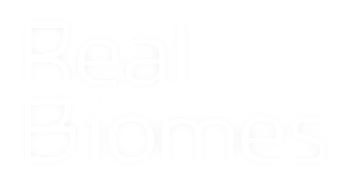 RealBiomes | Creating Next-Gen worlds for Unreal Engine 5