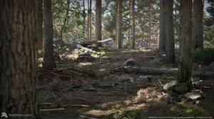 Scots Pine Forest Biome | Next-Gen Forest Pack for Unreal Engine 5.3 — RealBiomes | Complete ...