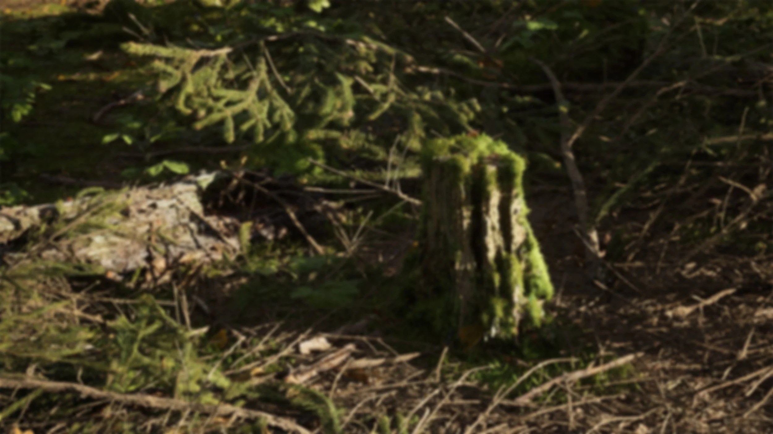 Create your own Virtual Reality with our fully featured 3D Environment ...