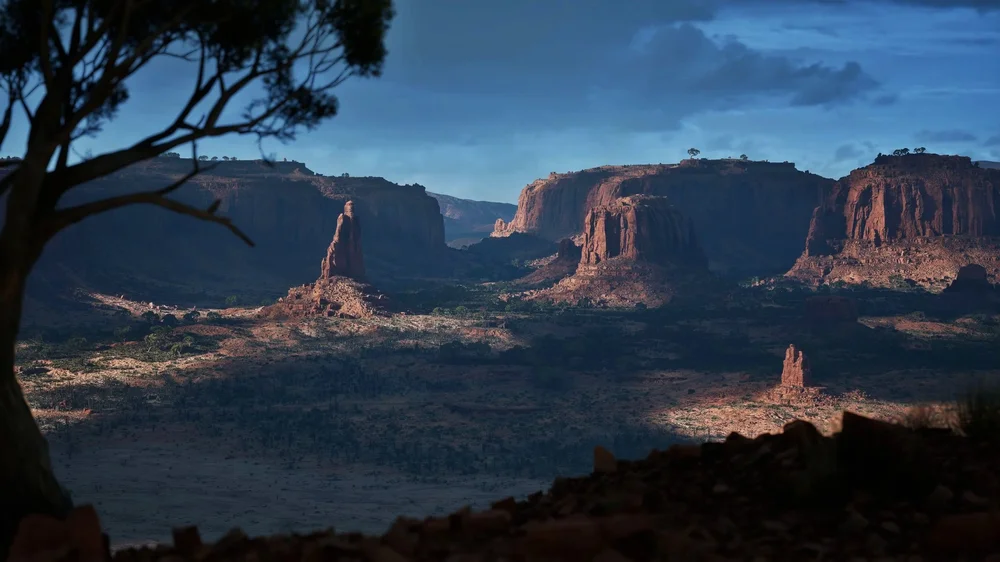 RealBiomes | Forest & Desert Biome Environments for Unreal Engine 5
