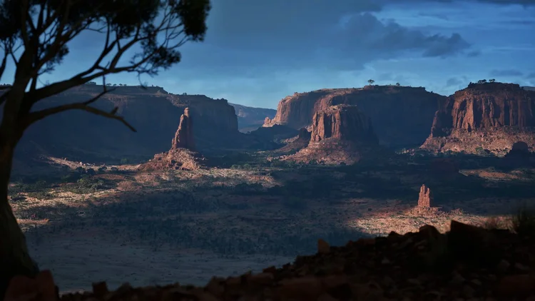 RealBiomes | Forest & Desert Biome Environments for Unreal Engine 5
