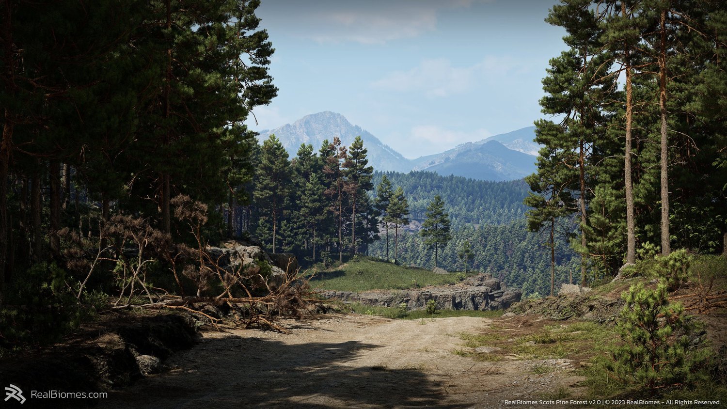 A beautiful, life-like Procedural Pine Forest Environment!