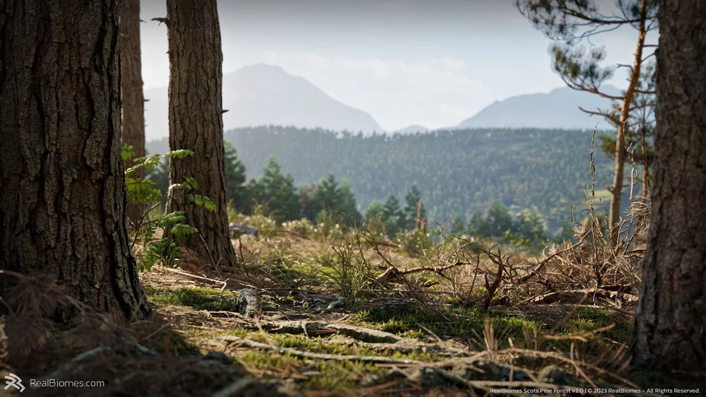 A beautiful, life-like Procedural Pine Forest Environment!