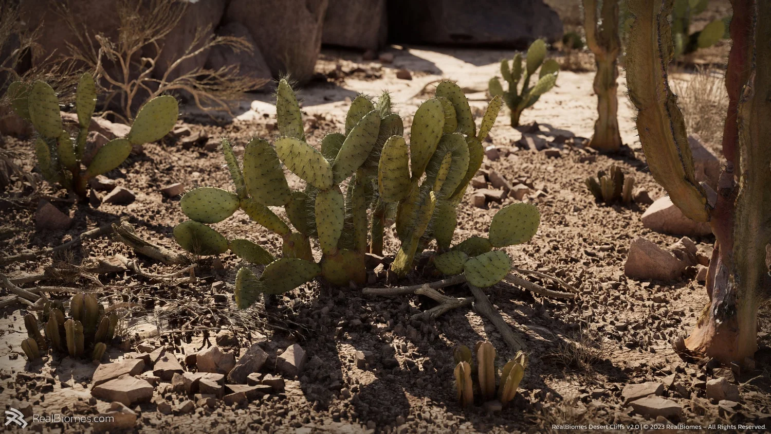 RealBiomes | Forest & Desert Biome Environments for Unreal Engine 5