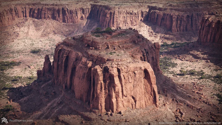 RealBiomes | Forest & Desert Biome Environments for Unreal Engine 5