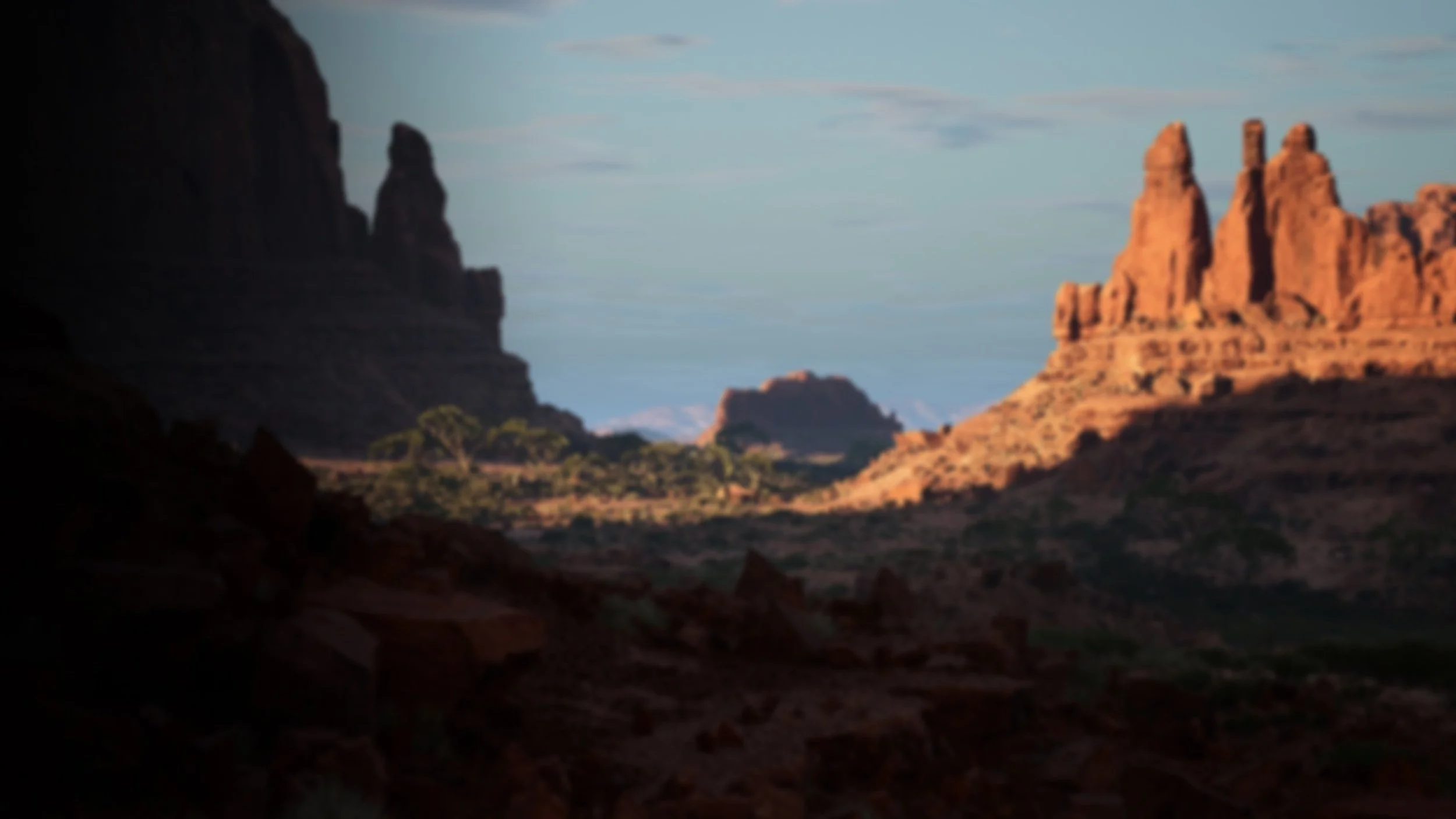 Contact — RealBiomes | Creating Next-Gen worlds for Unreal Engine 5