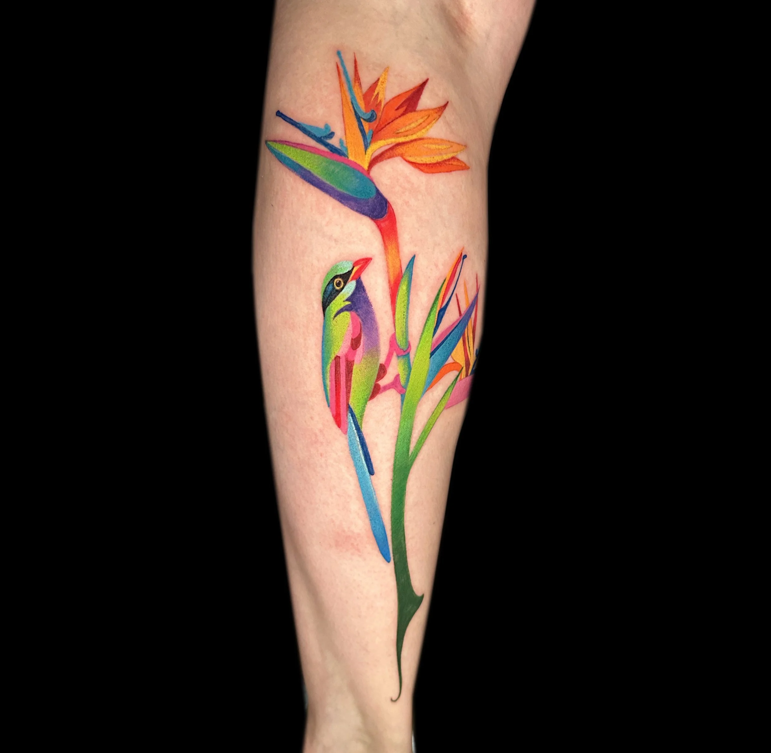 Koral Tattoo