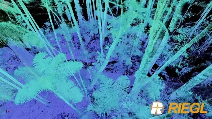 RIEGL Australia: Ultimate LiDAR | Australia and New Zealand