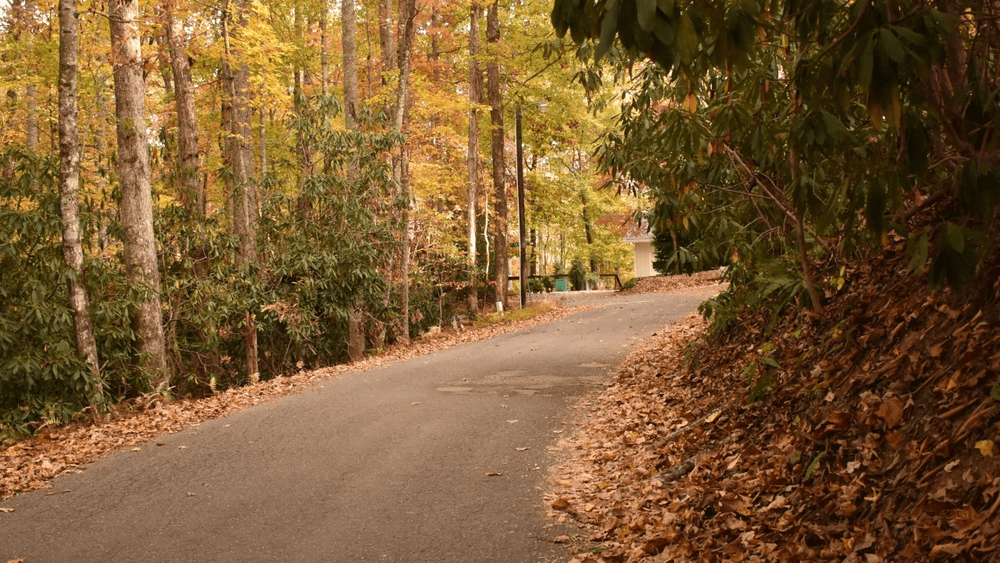 Hunt the good stuff — Les Équilibristes