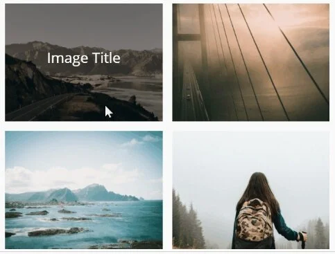 Squarespace Plugins — PixelHaze Academy