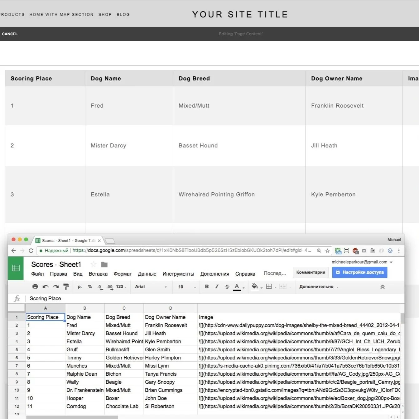Squarespace Plugins | Enhance Your Web Design Journey — PixelHaze Academy