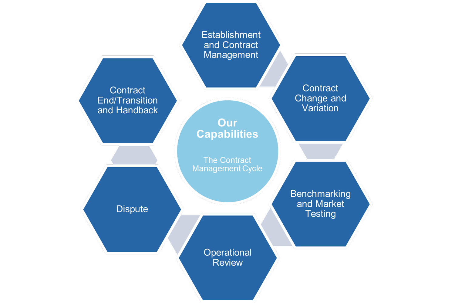 Our Services — Castor Business Consulting Limited - PFI Contract Management