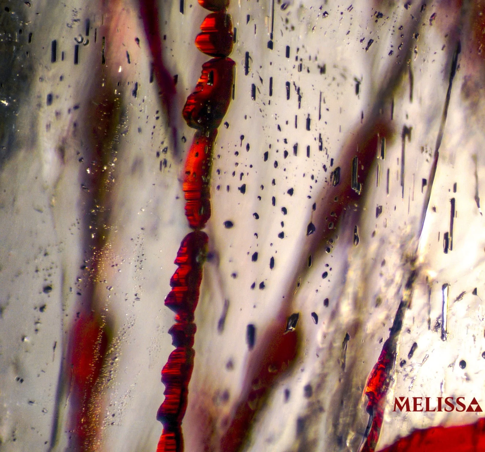 Explore The Beauty And Diversity of Quartz Inclusions