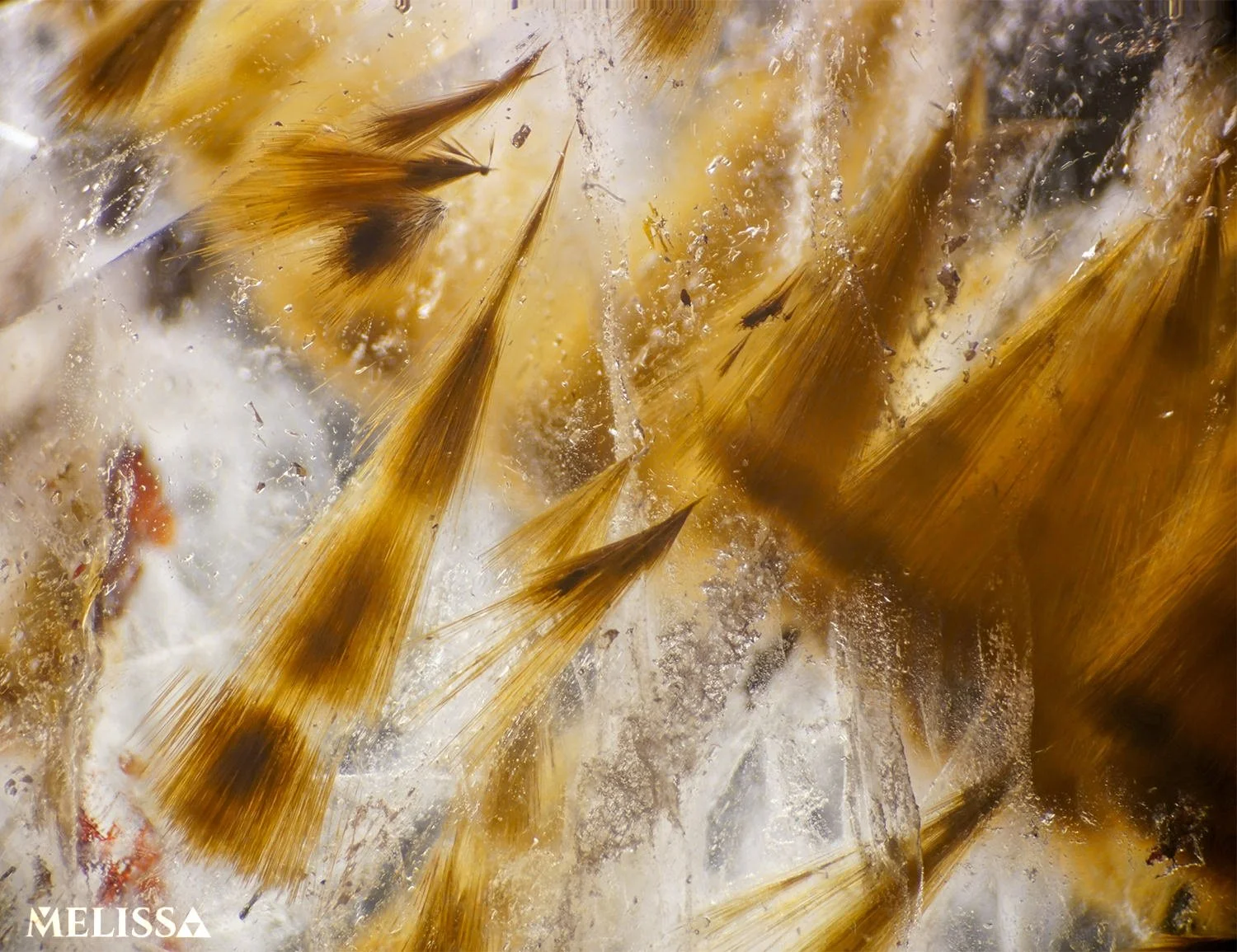 Explore The Beauty And Diversity of Quartz Inclusions