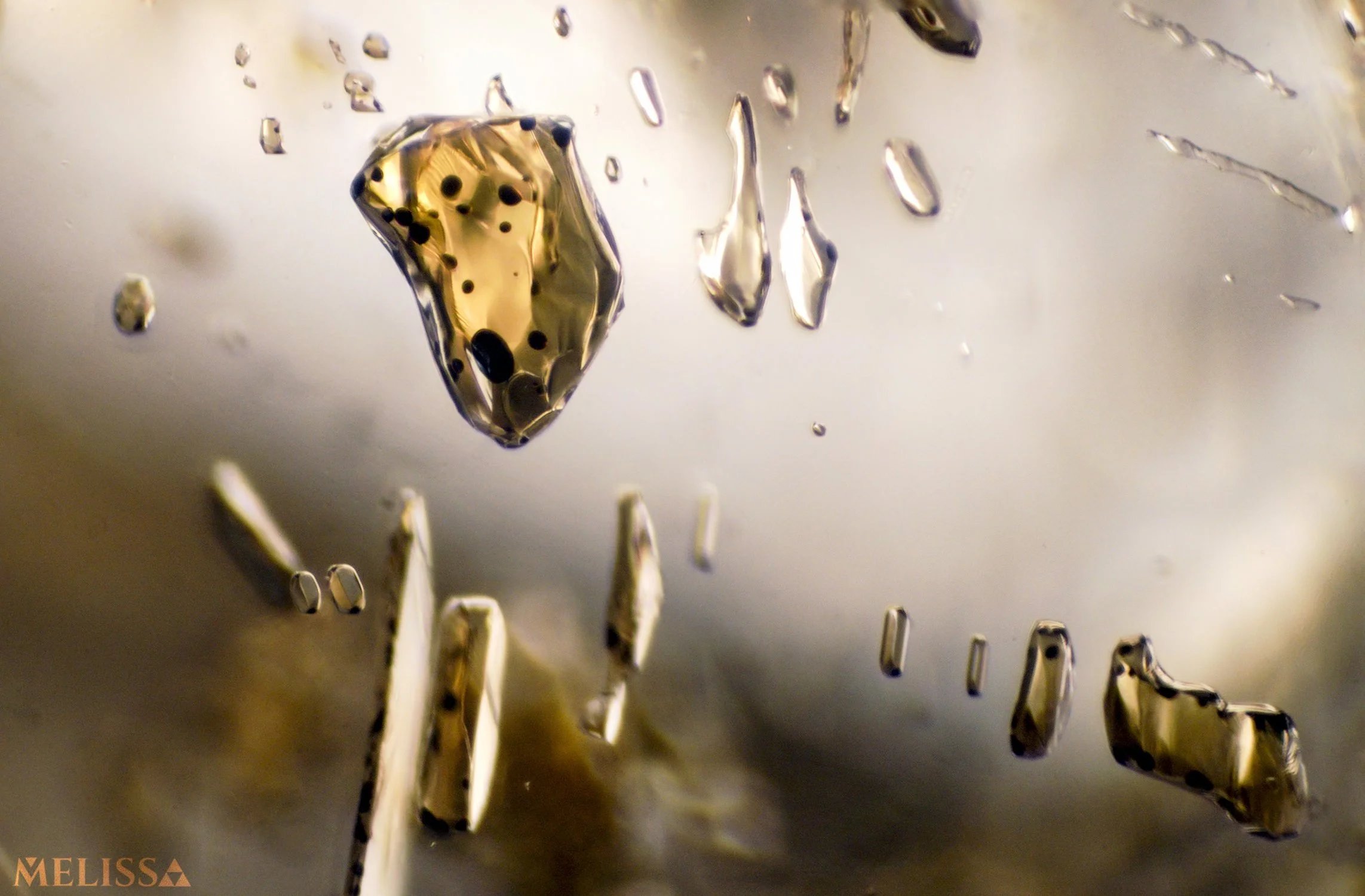 Explore The Beauty And Diversity of Quartz Inclusions