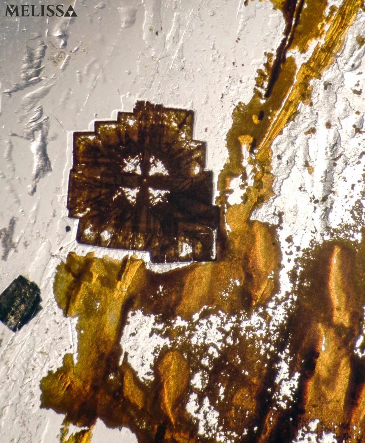 Explore The Beauty And Diversity of Quartz Inclusions