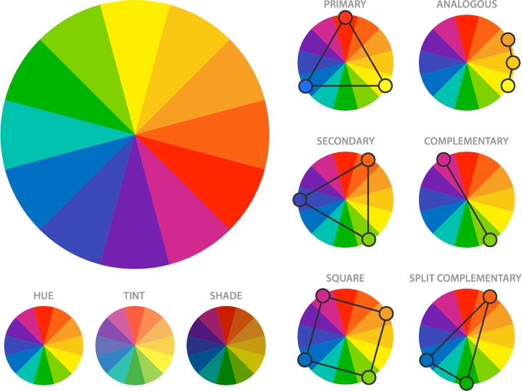 The Power of Color in Branding: How to Choose the Right Palette ...