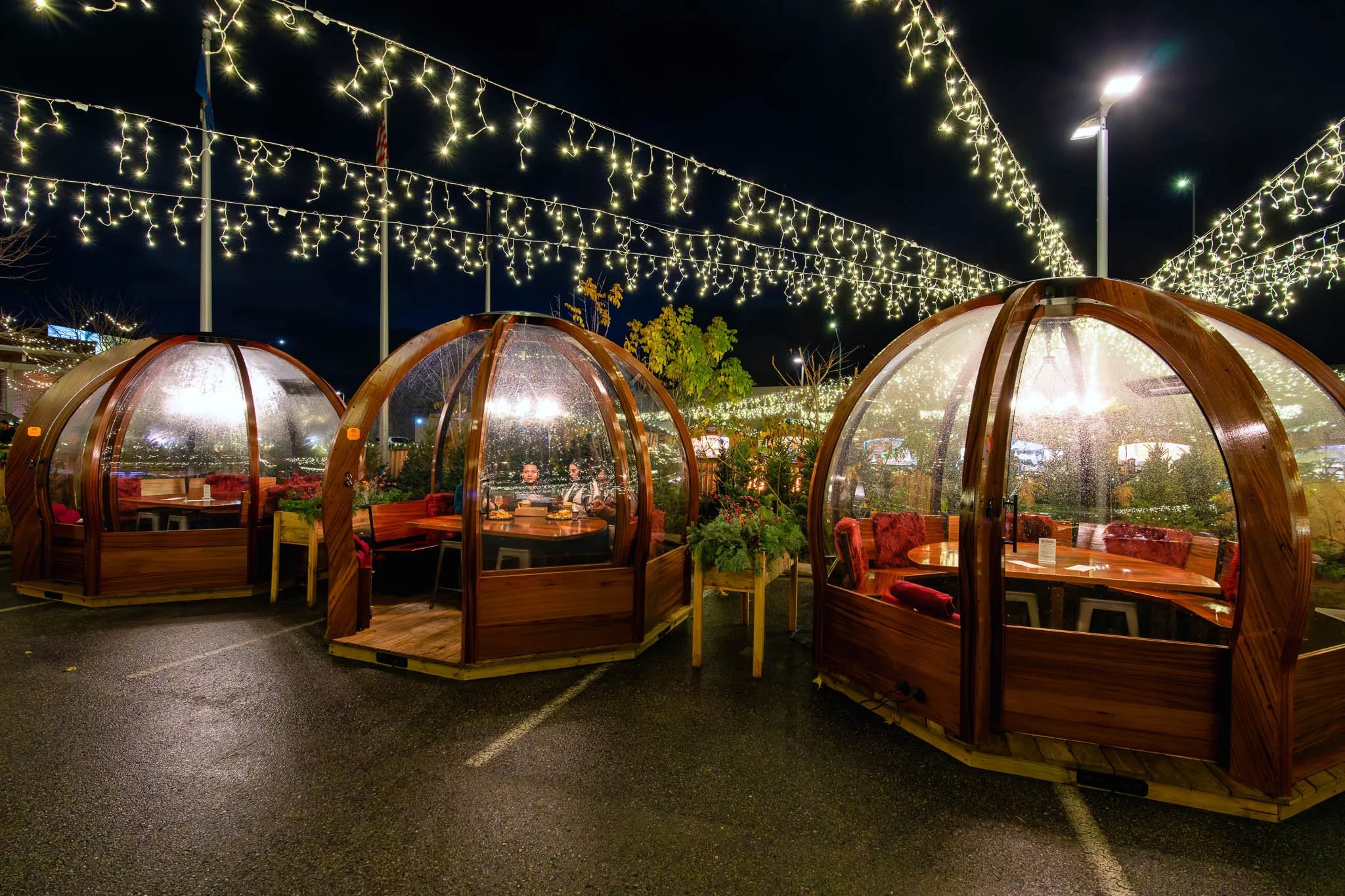 Alpenglobes — Grand Rapids Christkindl Markt