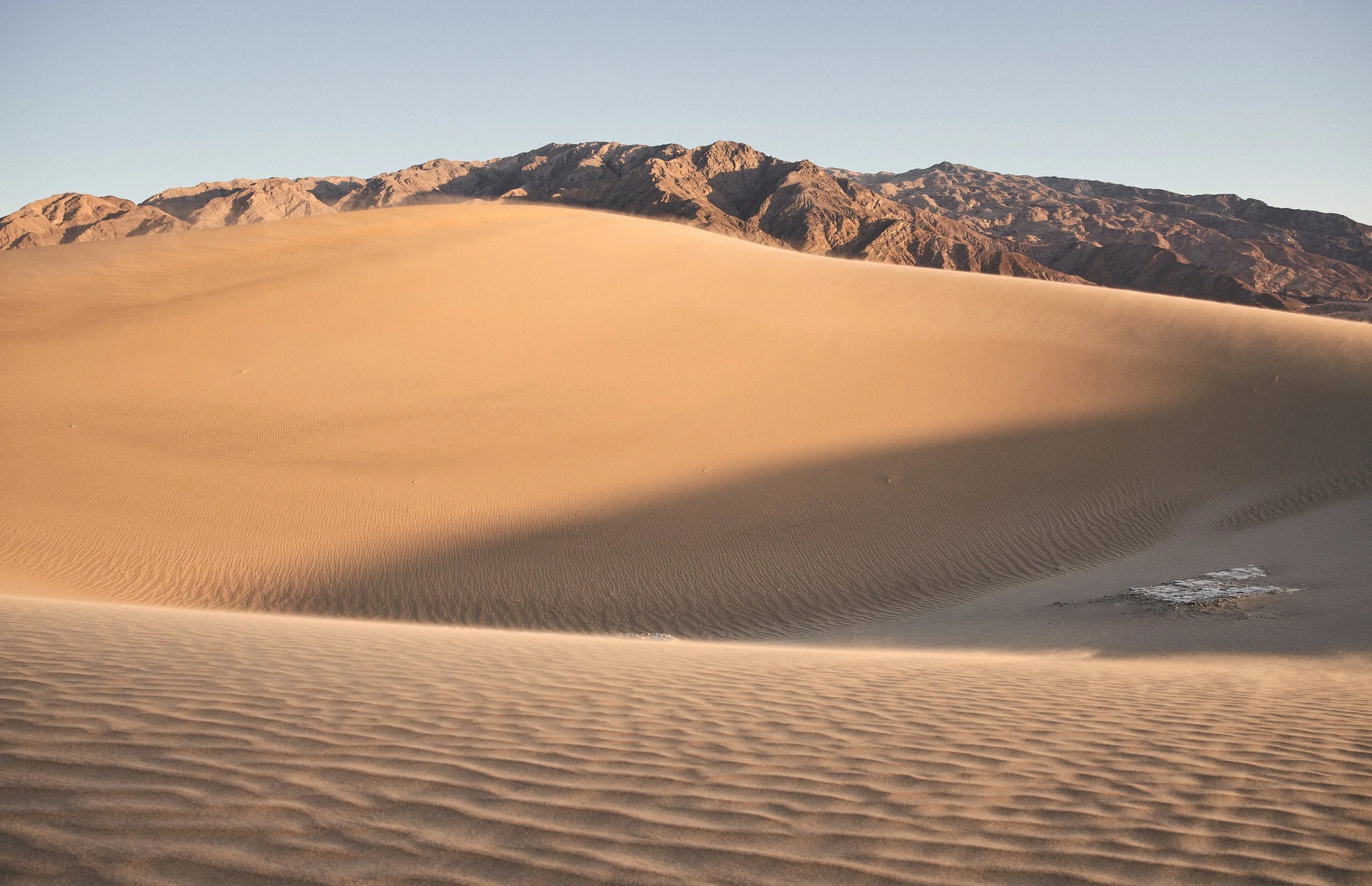 Dune — Torrey Merritt