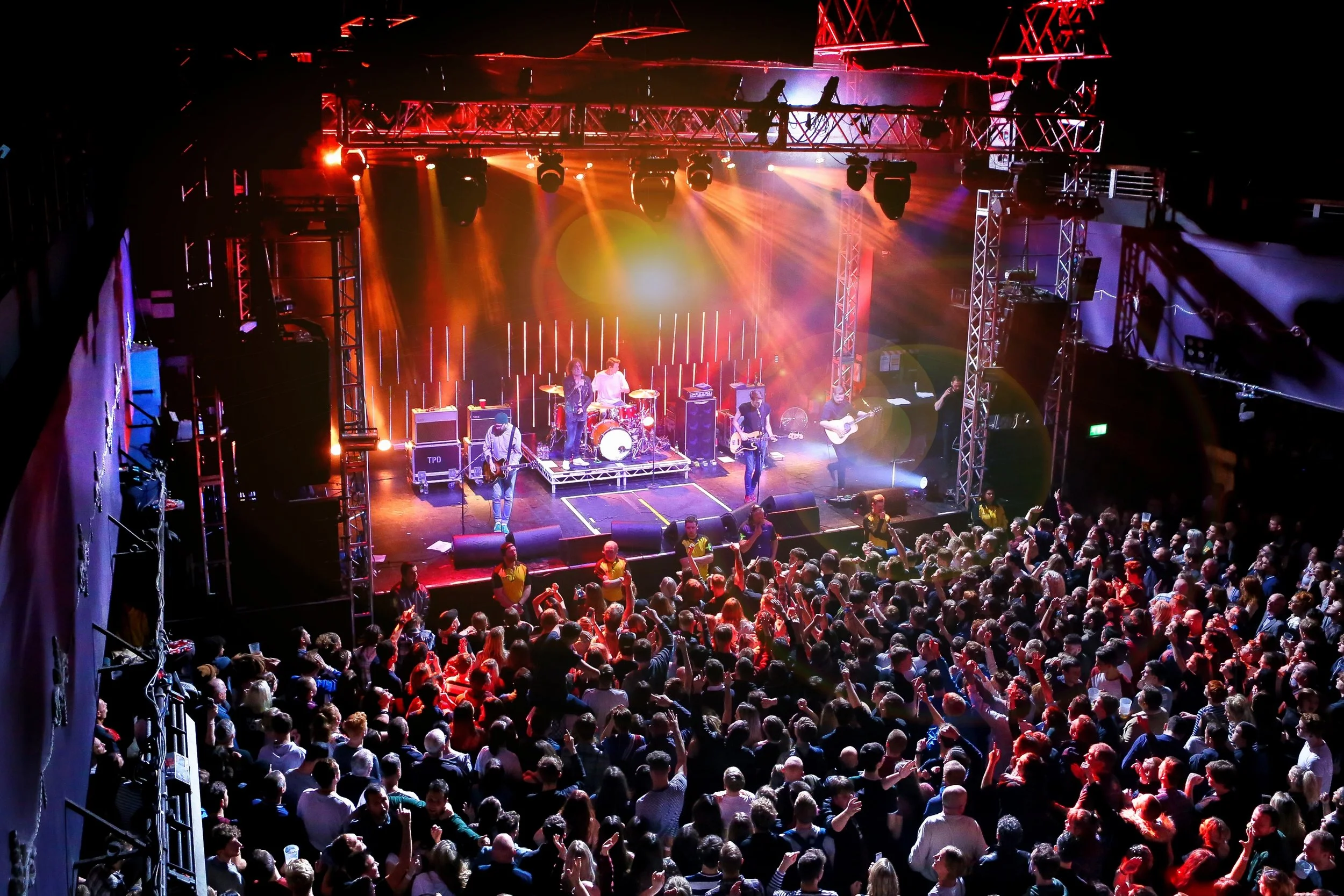 The Pigeon Detectives