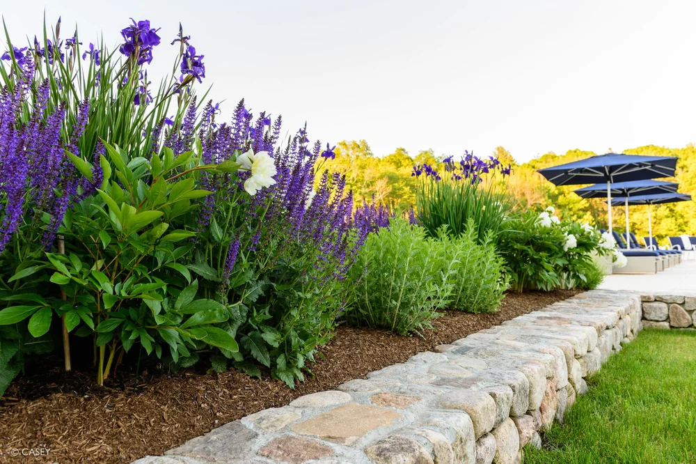 Discover the Art of Landscape Design in Newton MA: Transforming Spaces ...