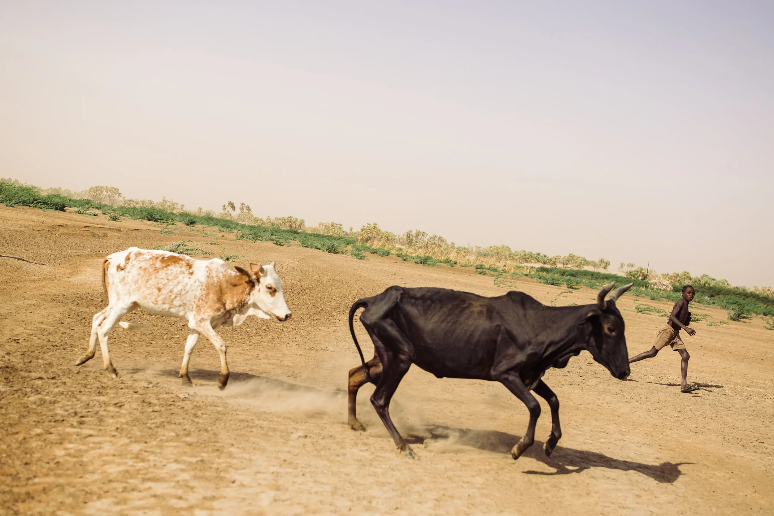 Lake Turkana Faces Drought — The Dial