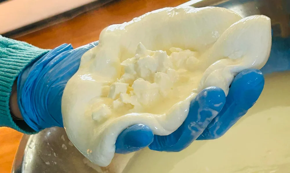 Cherry Grove Farm | Grass-Fed Dairy & Farmstead Cheeses in New Jersey