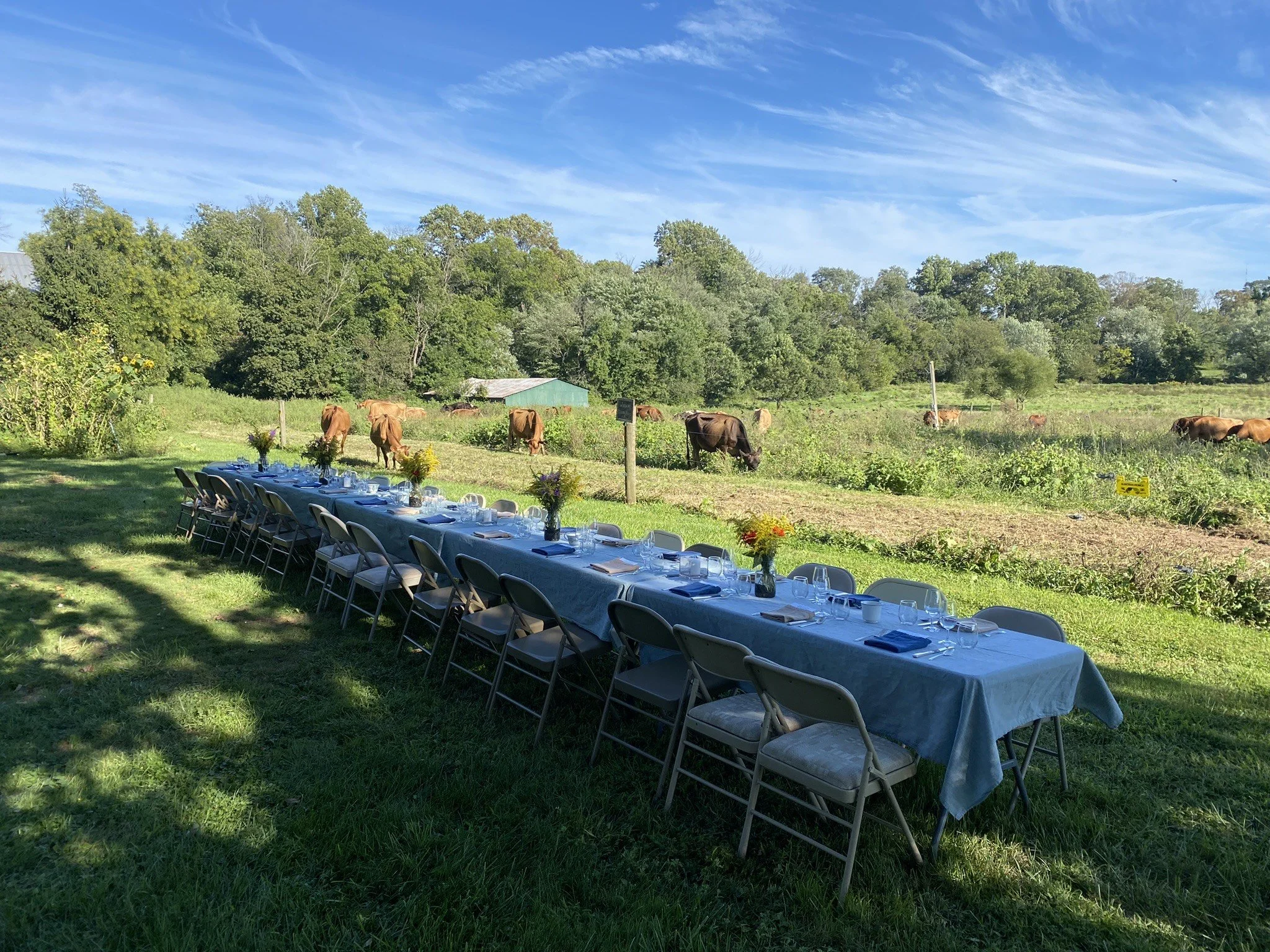 Cherry Grove Farm | Grass-Fed Dairy & Farmstead Cheeses in New Jersey