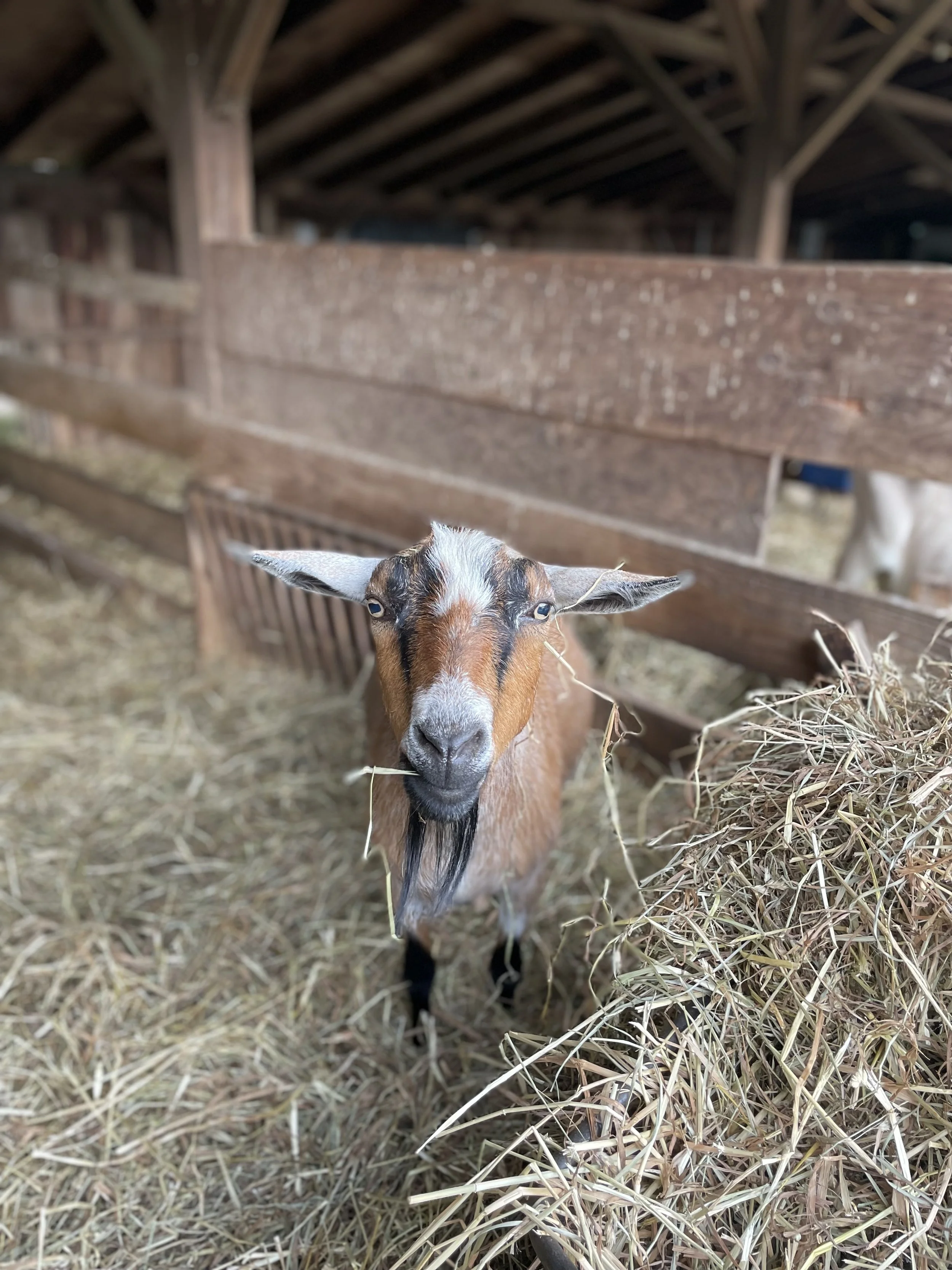 Visit Our New Jersey Farm Store — Cherry Grove Farm