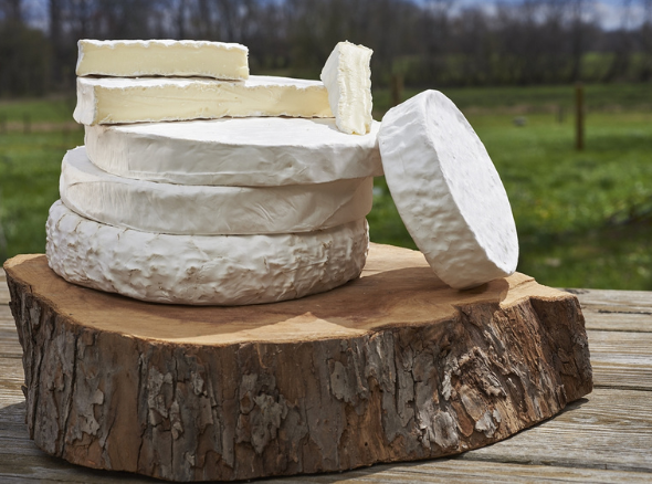 Buy Farmstead Cheese Online | Cherry Grove Farm — Cherry Grove Farm