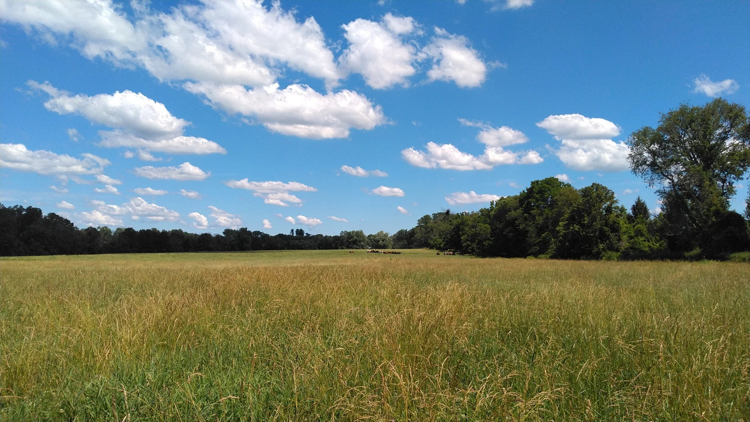 Visit Our New Jersey Farm Store — Cherry Grove Farm