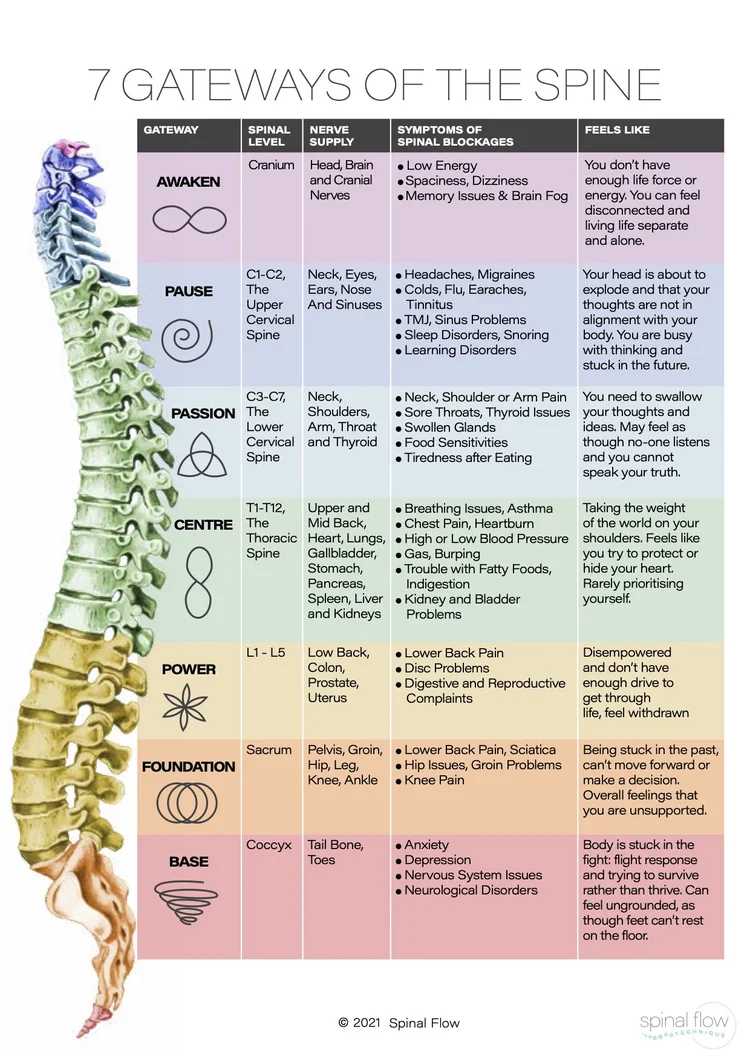 Spinal Flow — Kate Ross Wellness