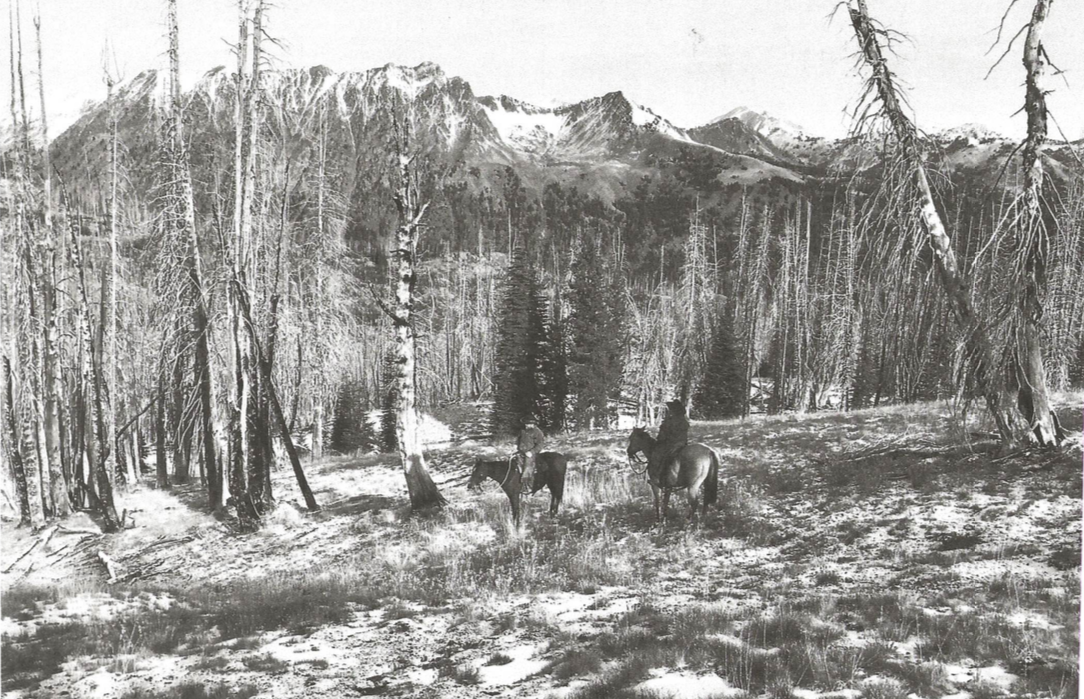 Pine Valley's History — Pine Valley 2050