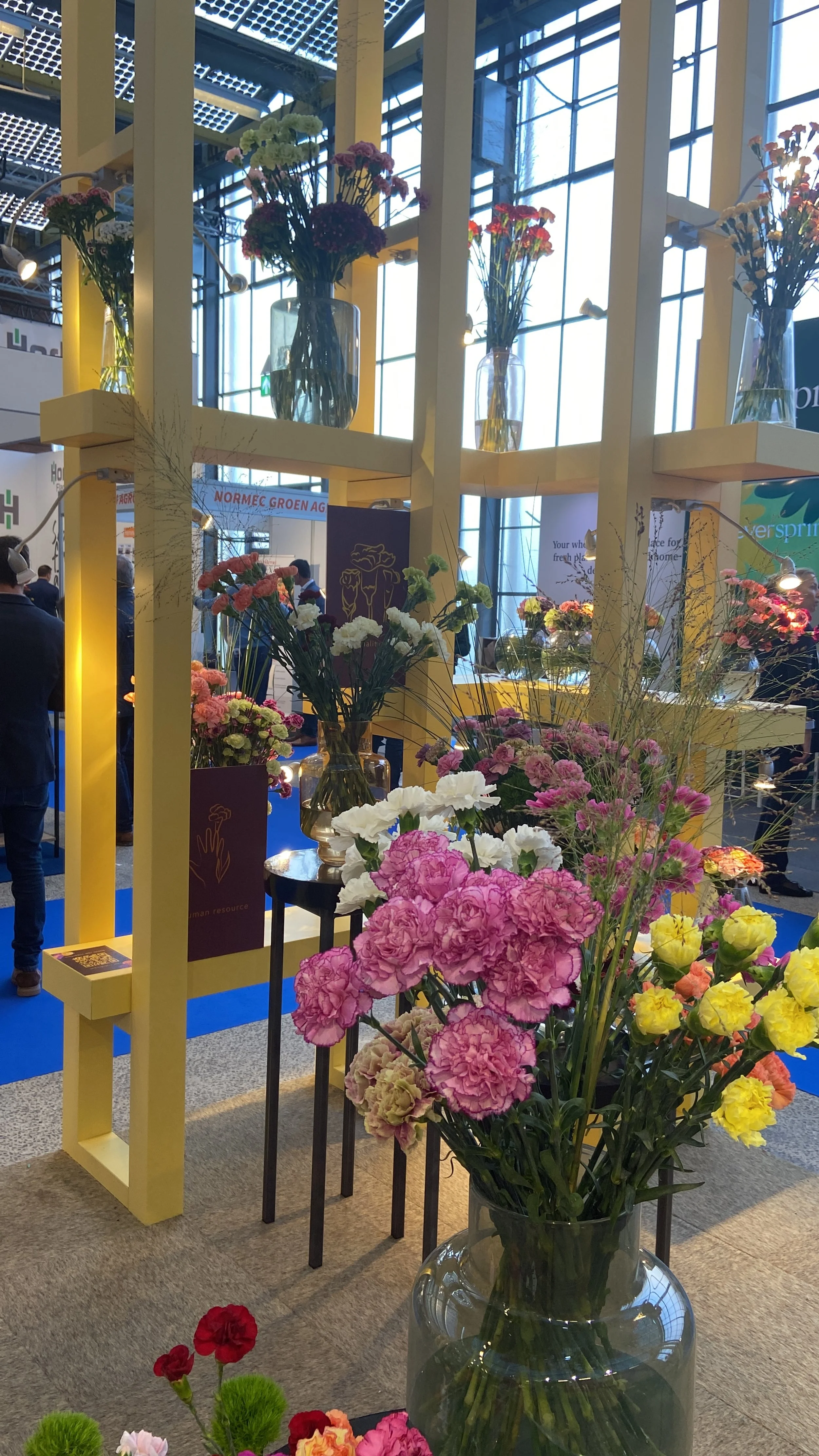 IFTF November 2022 — Turflor