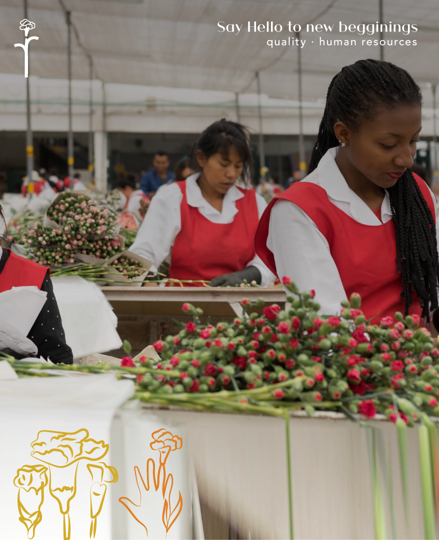 About us — Turflor