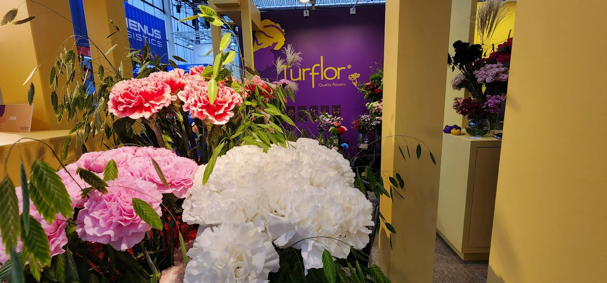 IFTF November 2023 — Turflor