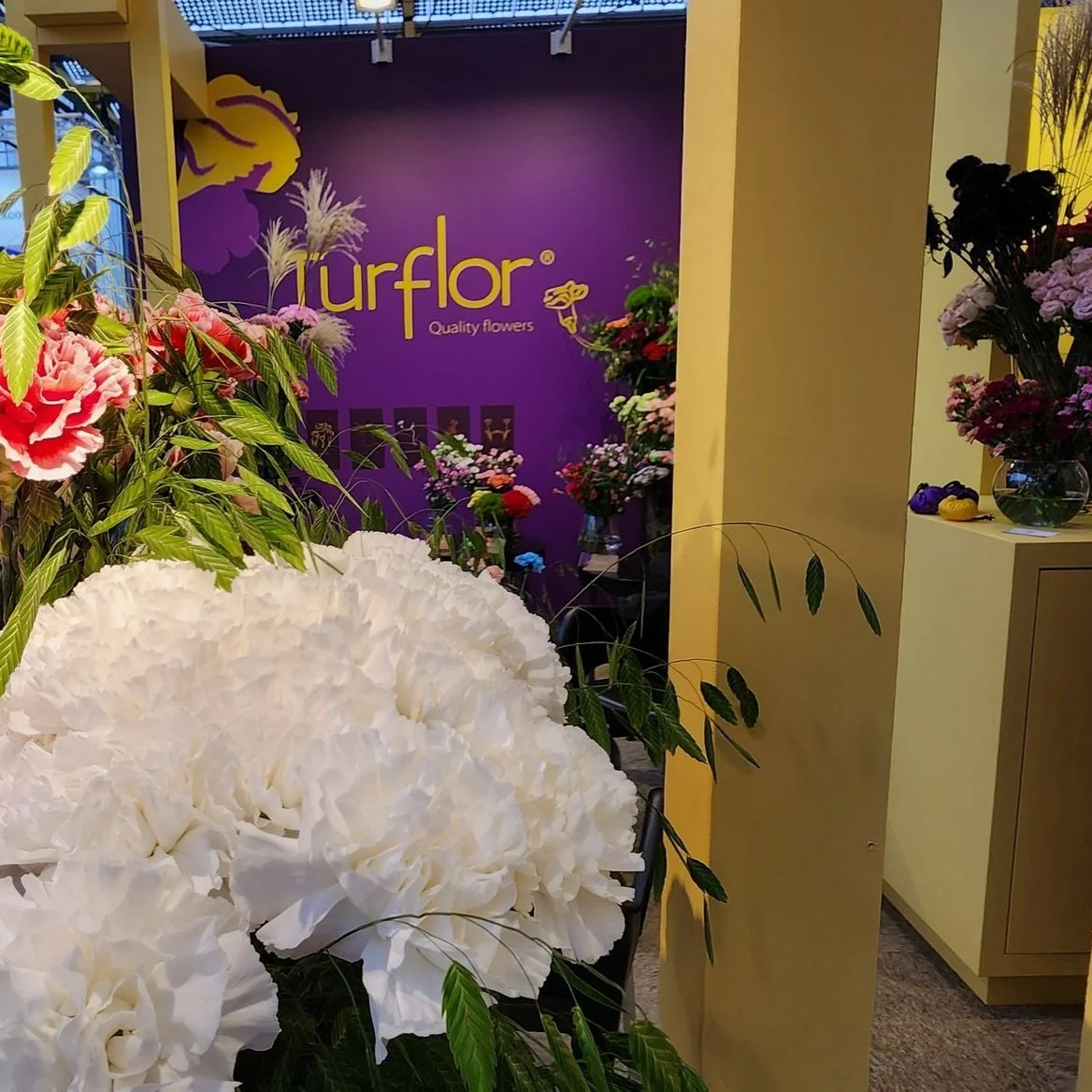 IFTF November 2023 — Turflor