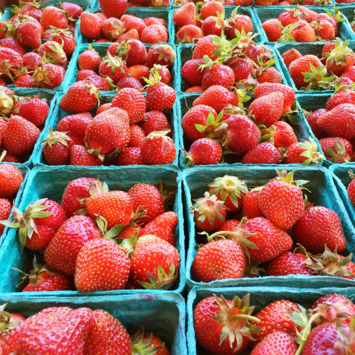 Chassell's Strawberry Festival — Copper Beacon