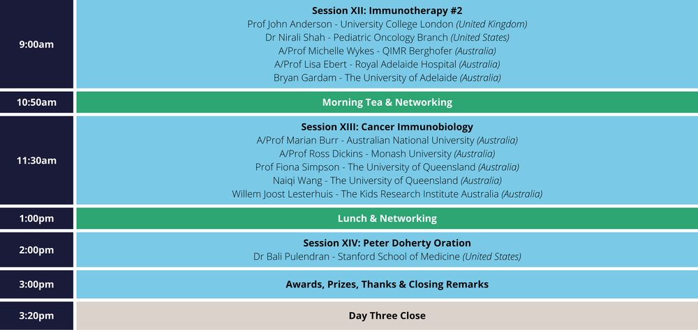 Program — APVIC 2026
