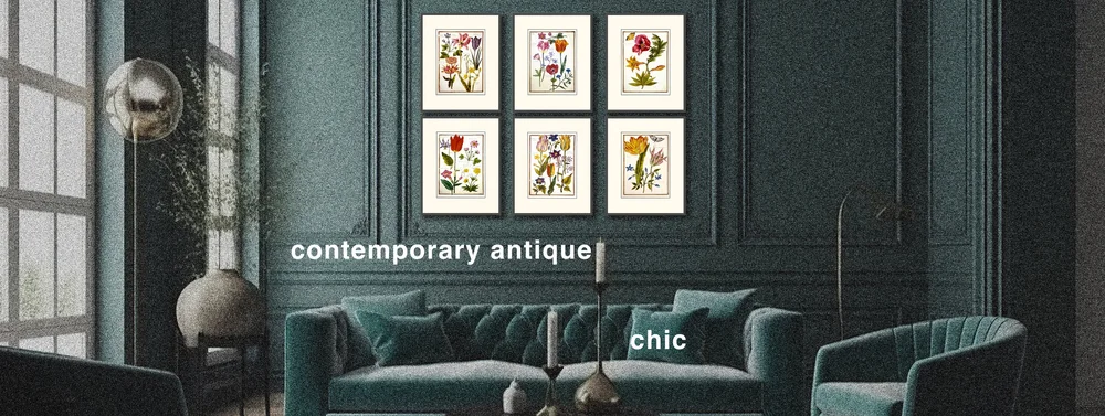 Nicholas Roberts Flower Prints — Matted Print Archives