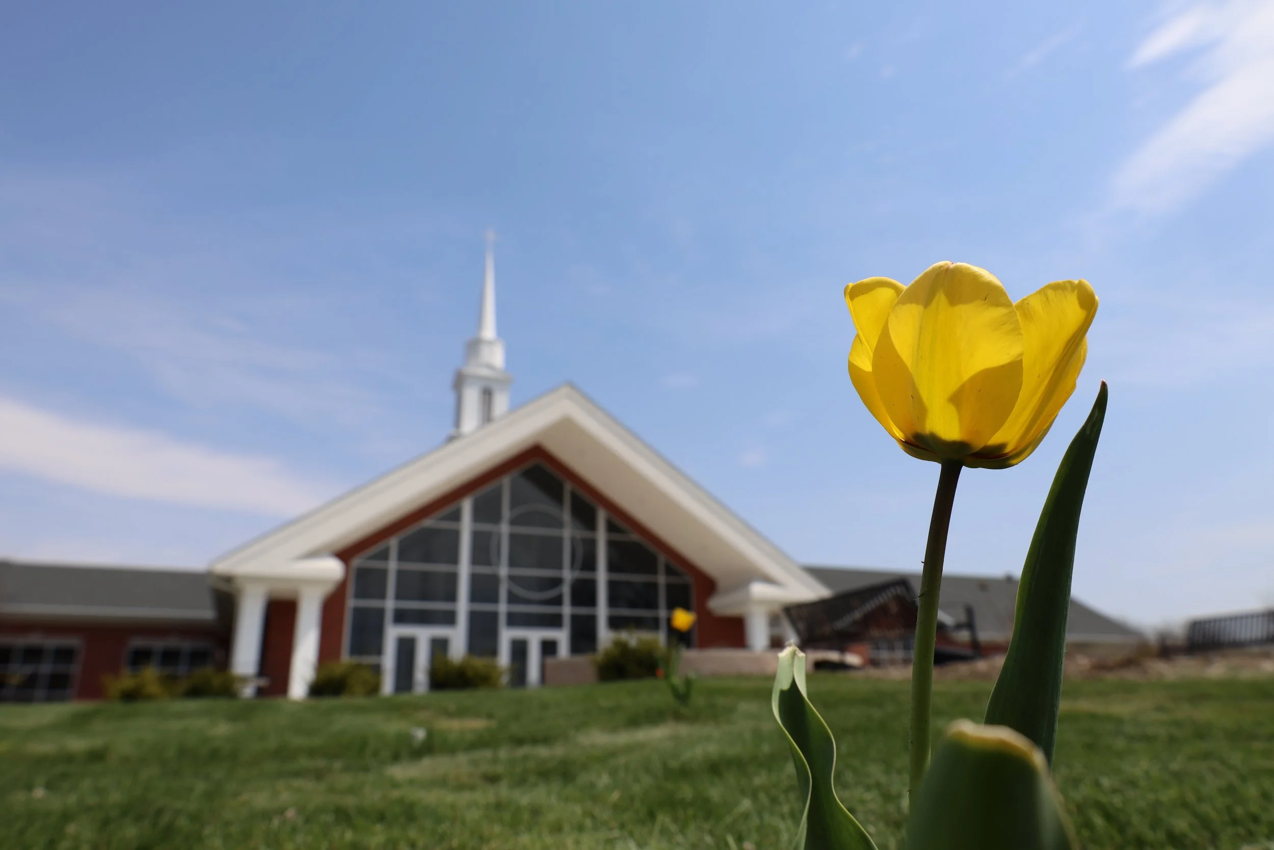 College Church