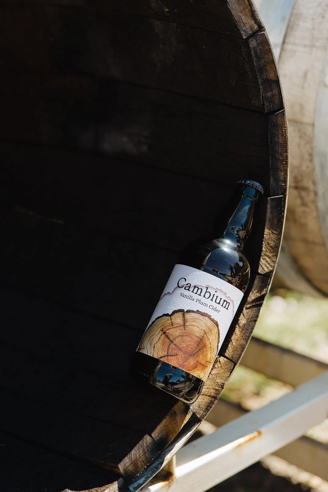 Cambium Cider Co