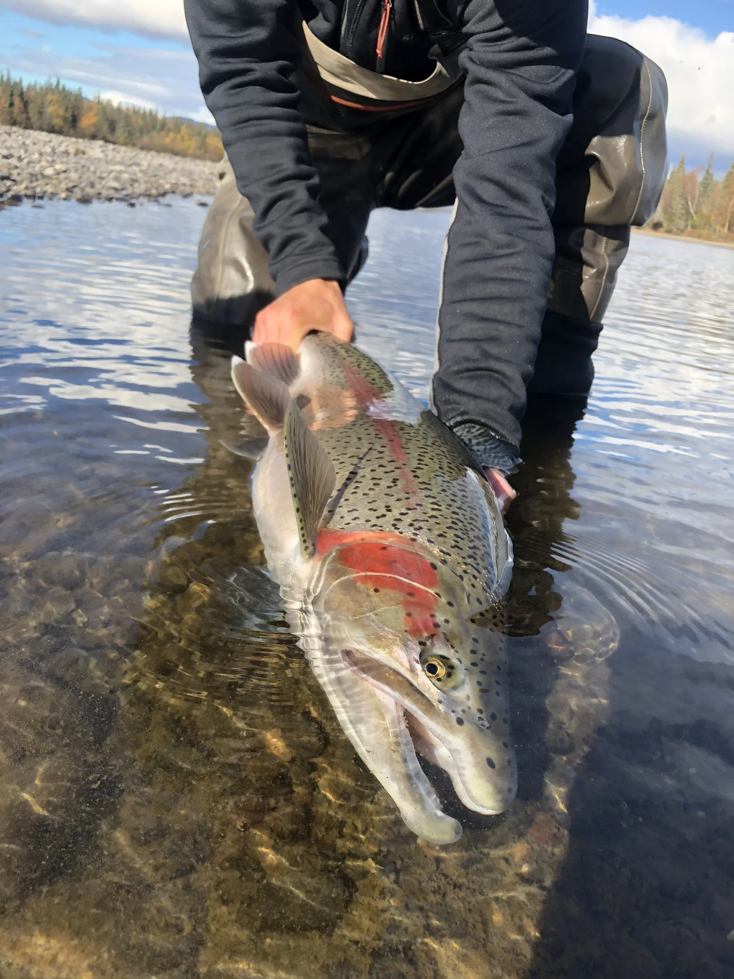 Josh Miller Fly Fishing