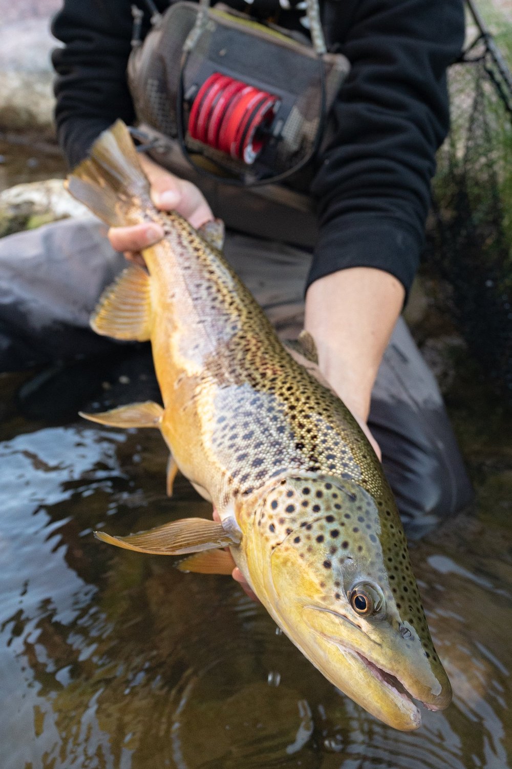 Josh Miller Fly Fishing