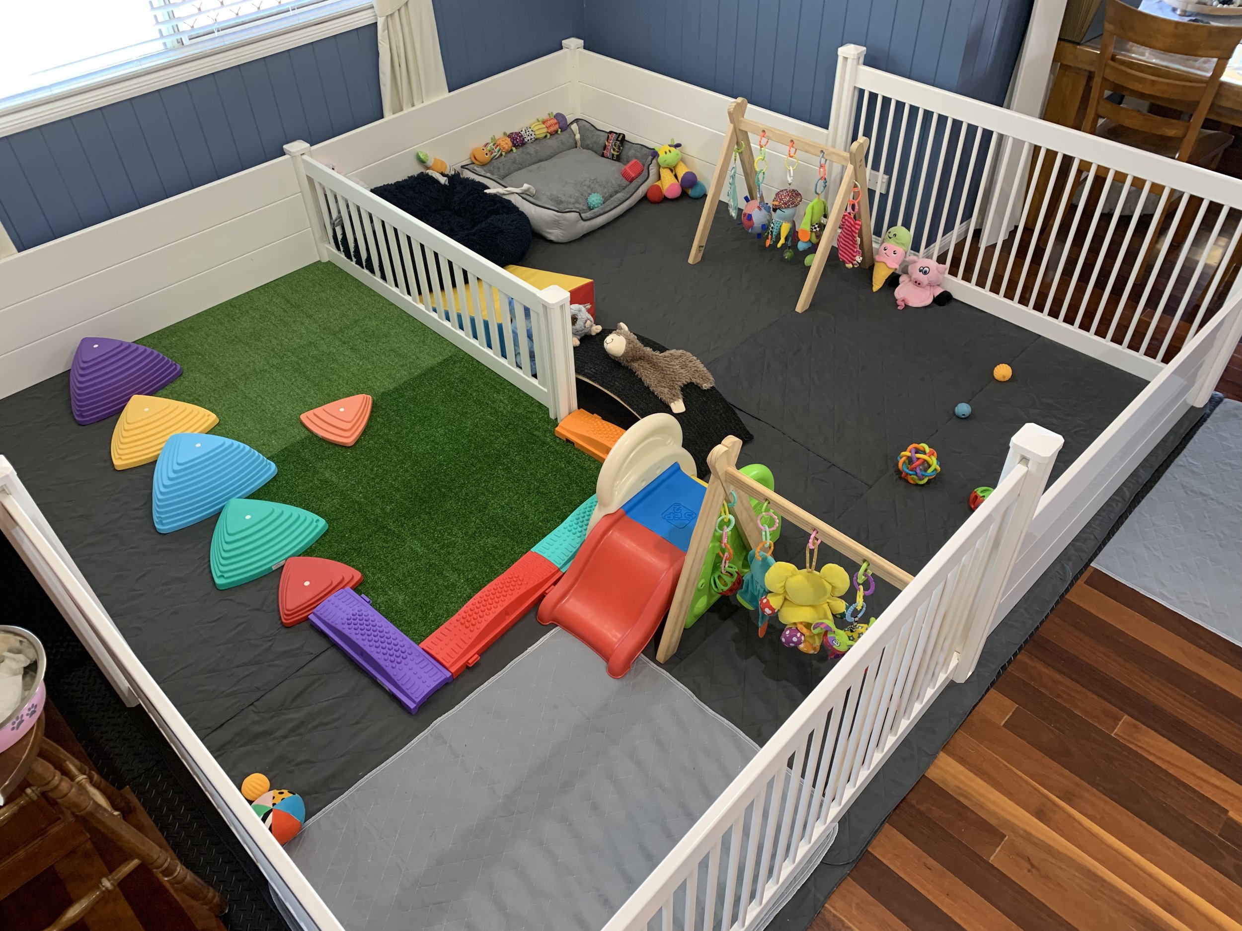 🐾 OUR BREEDING PRACTICES — BESPOKE SPOODLES BRISBANE