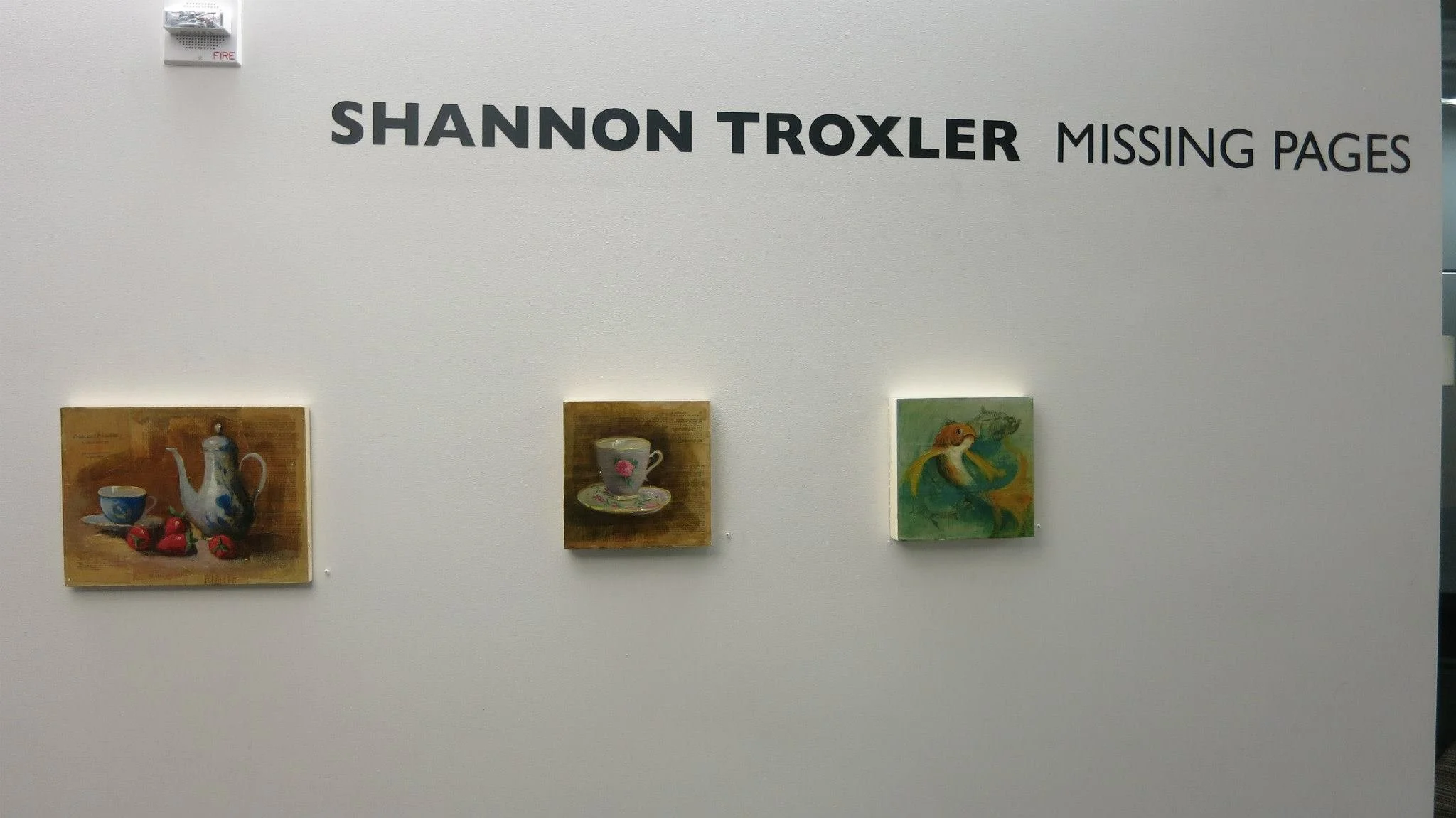 Shannon Troxler — The BUBBLER @ Madison Public Library