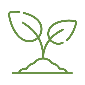 Services — ABA Spectrum Therapy