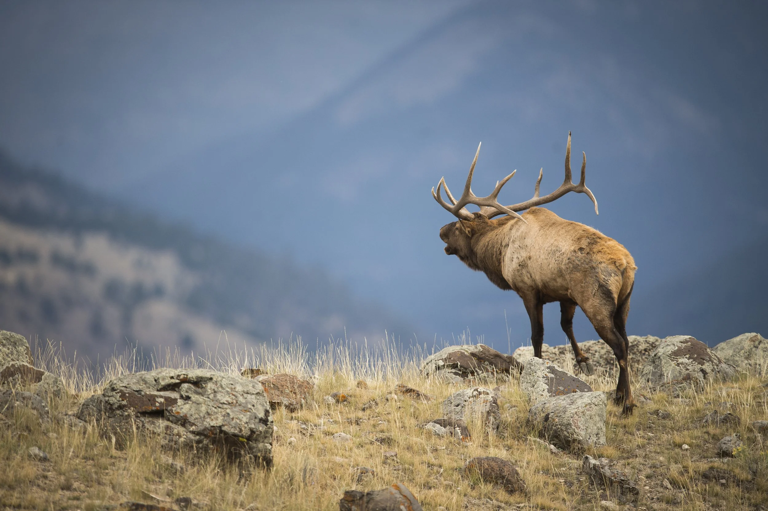 Field Notes — Jared Lloyd Photography